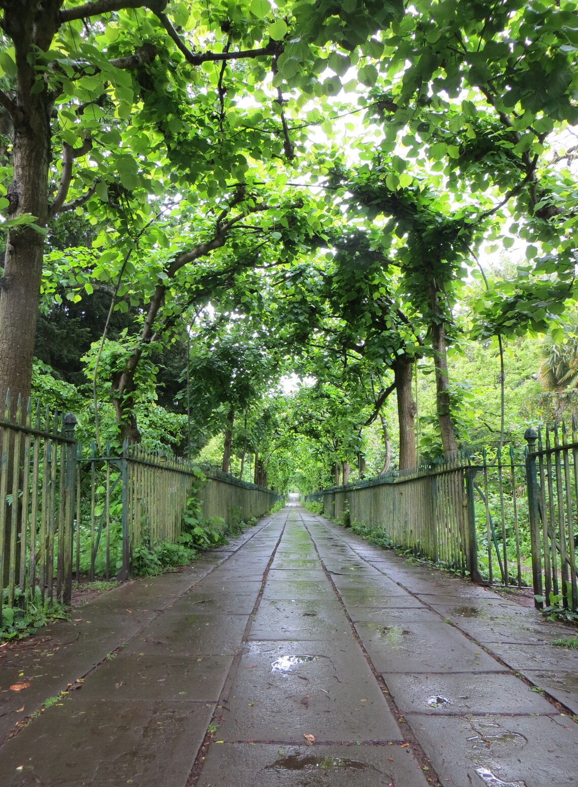 Home - Friends of Birdcage Walk and St Andrew's Churchyard